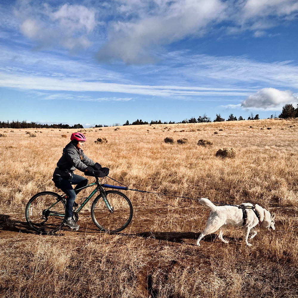HIPPO HANDS® - CASCADE™ Handlebar Hand Covers – Alpine Outfitters