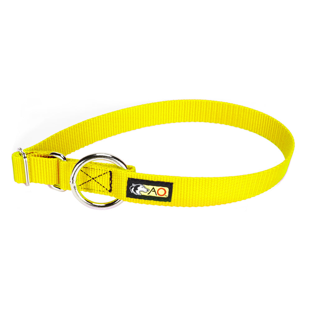 Full Circle Collar, with O-Ring or D-Ring – Alpine Outfitters