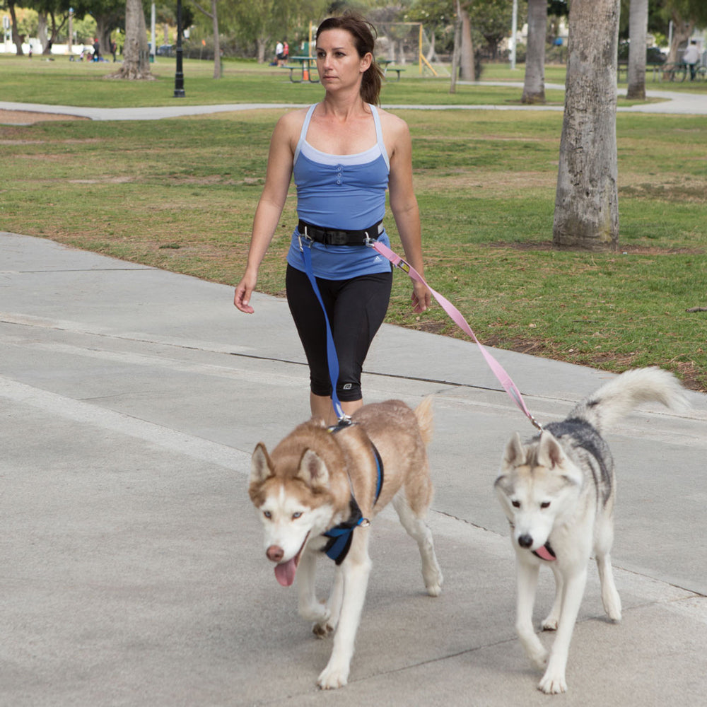 Hands-Free Dog Walking Belt for Canicross, Skijoring, Hiking, & Joggin ...