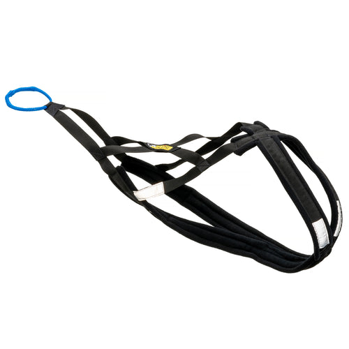 Harnesses – Alpine Outfitters